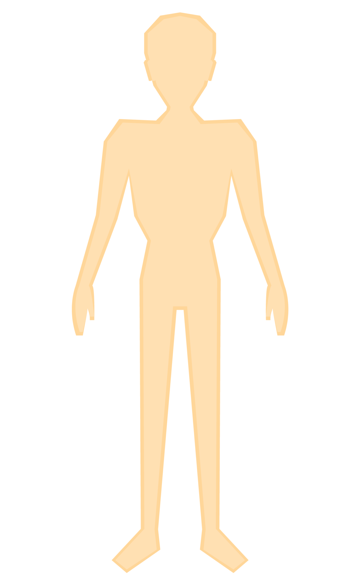 The Exhibit - The Bodies Human