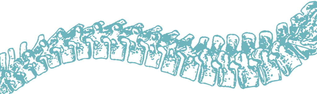 The Bodies Human Exhibit in Gatlinburg, TN